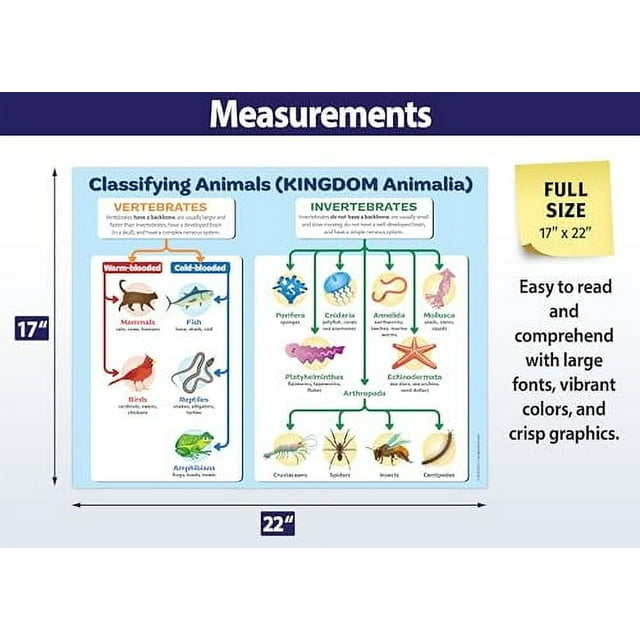 Animal Kingdom Classification Poster (Pack of 10) - Laminated 17 x 22 ...
