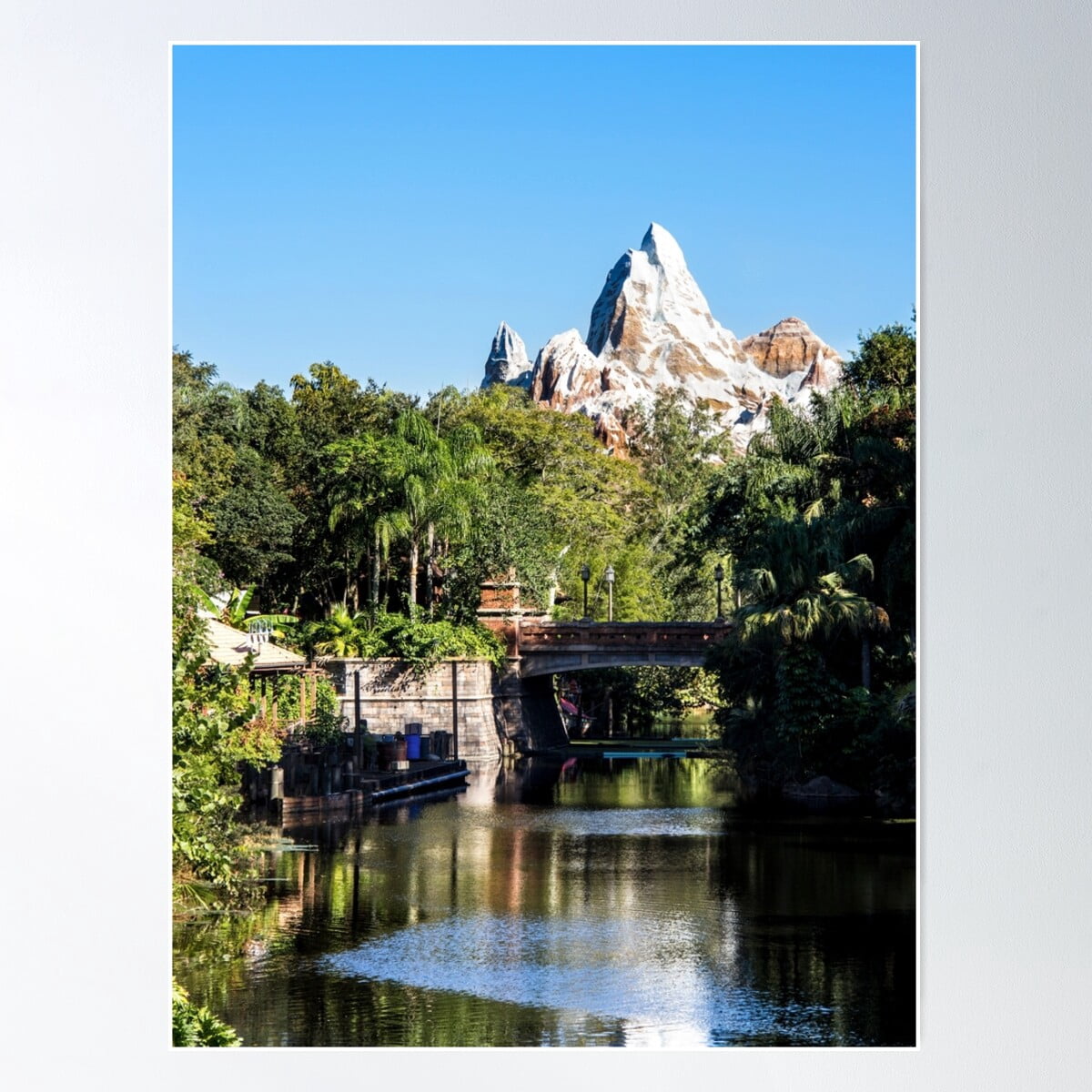 Animal Kingdom Expedition Everest Poster Wall Art Modern Wall Decor For ...