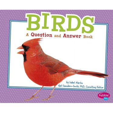 Birds of Prey: Ospreys (Hardcover) - Walmart.com