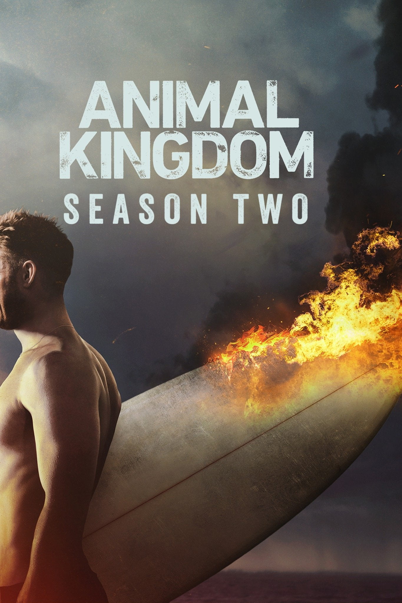 Animal Kingdom Season 2 Complete DVD - Crime, Drama - Walmart.com
