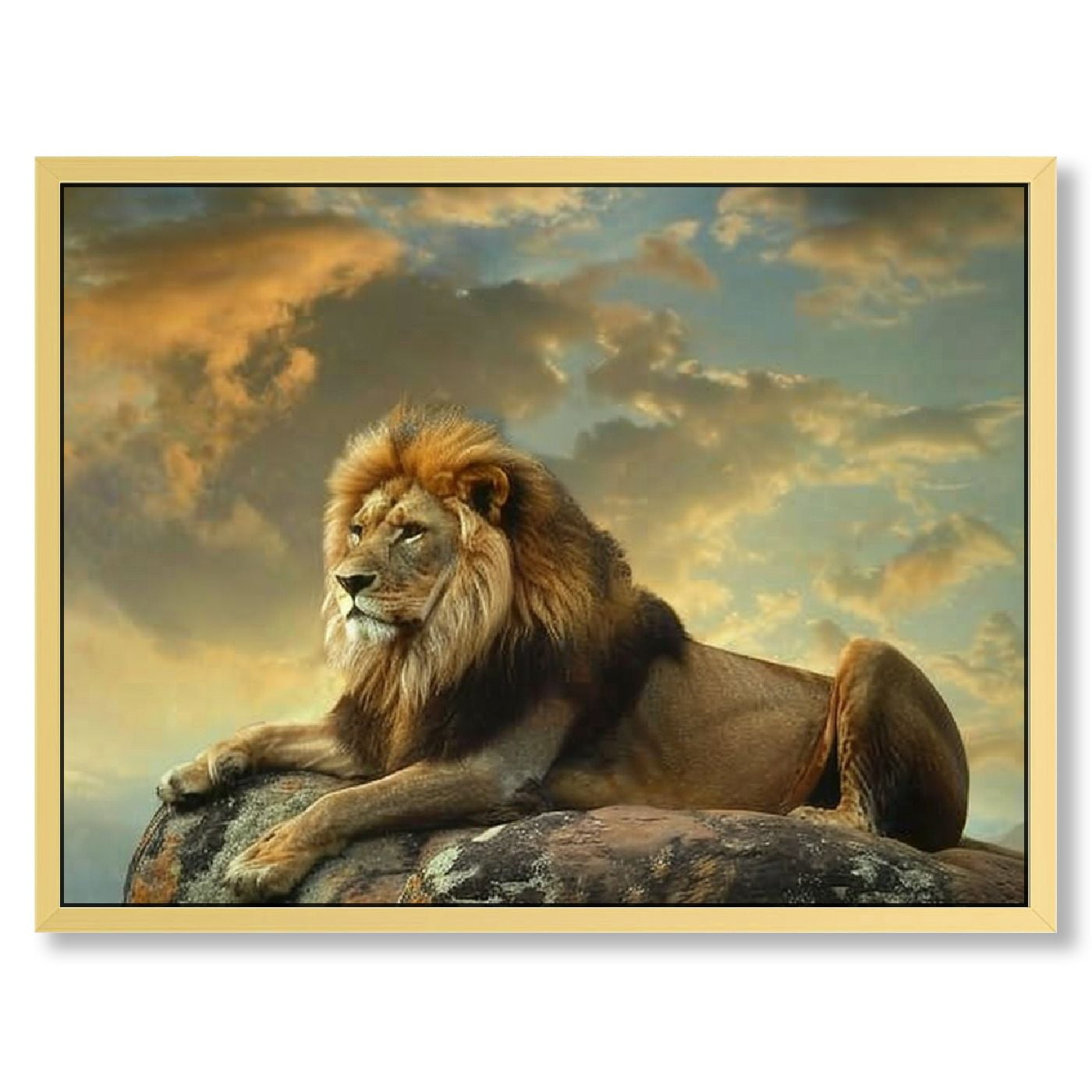 Animal Lion Animal Lion Posters Room Aesthetics Canvas Prints Wall Art ...