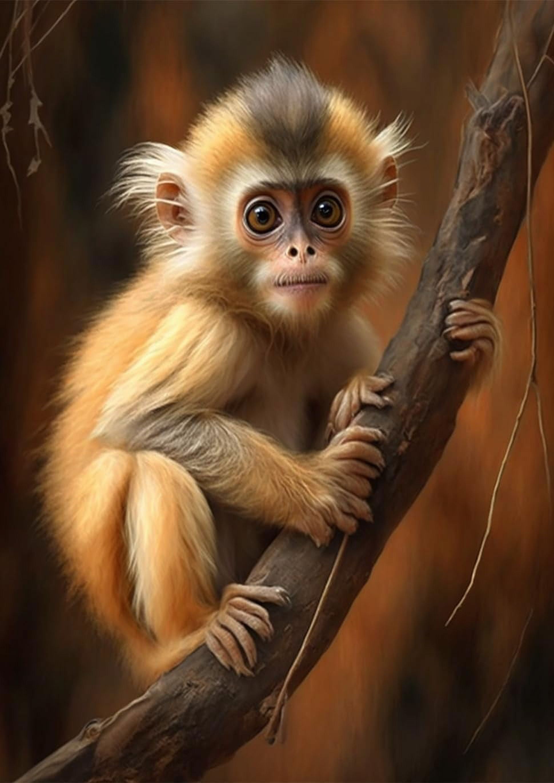 Animal Little Monkey 500 Piece Jigsaw Puzzle Suitable for All Groups of ...