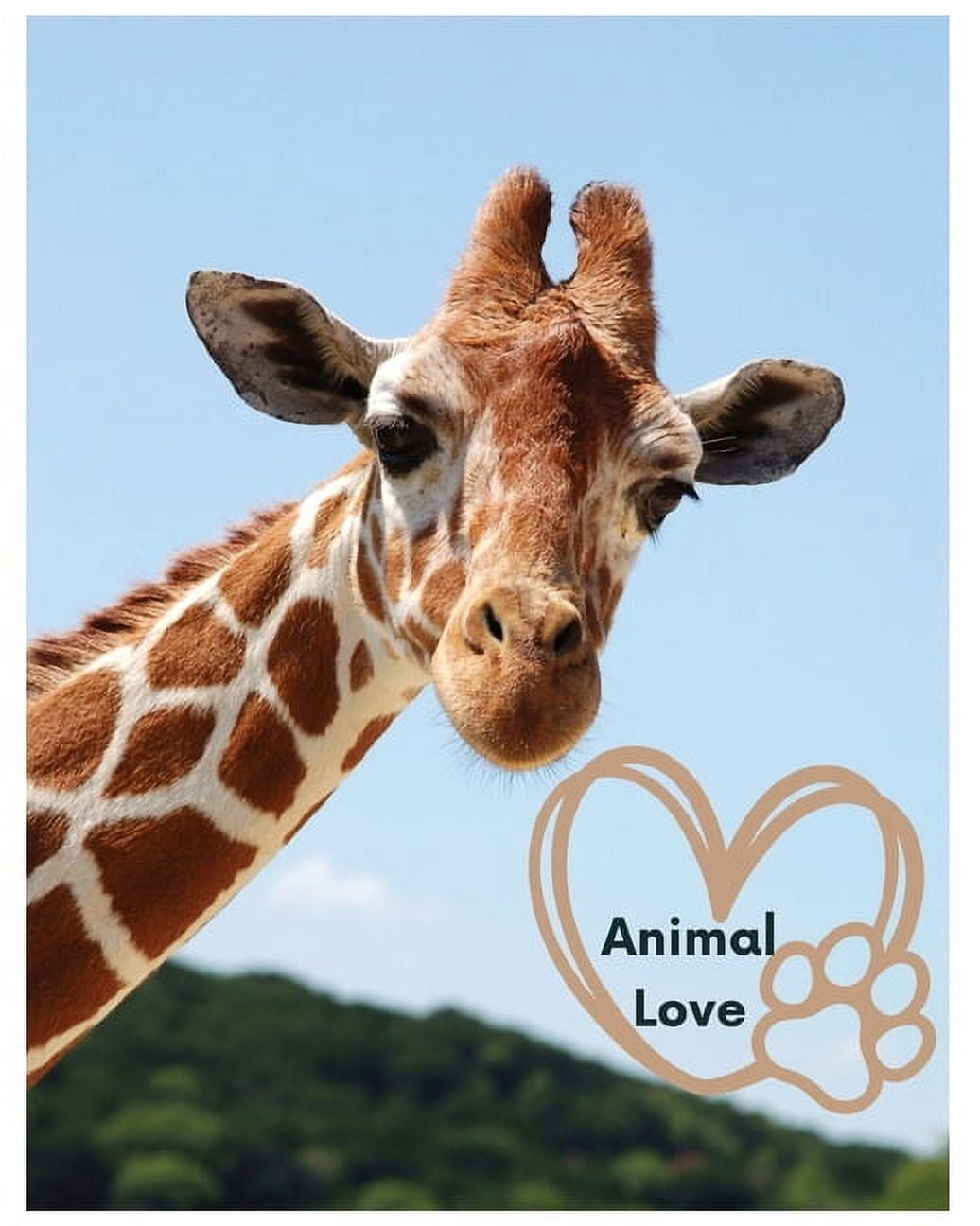 Animal Love: A picture book for Seniors with dementia or Alzheimer's ...