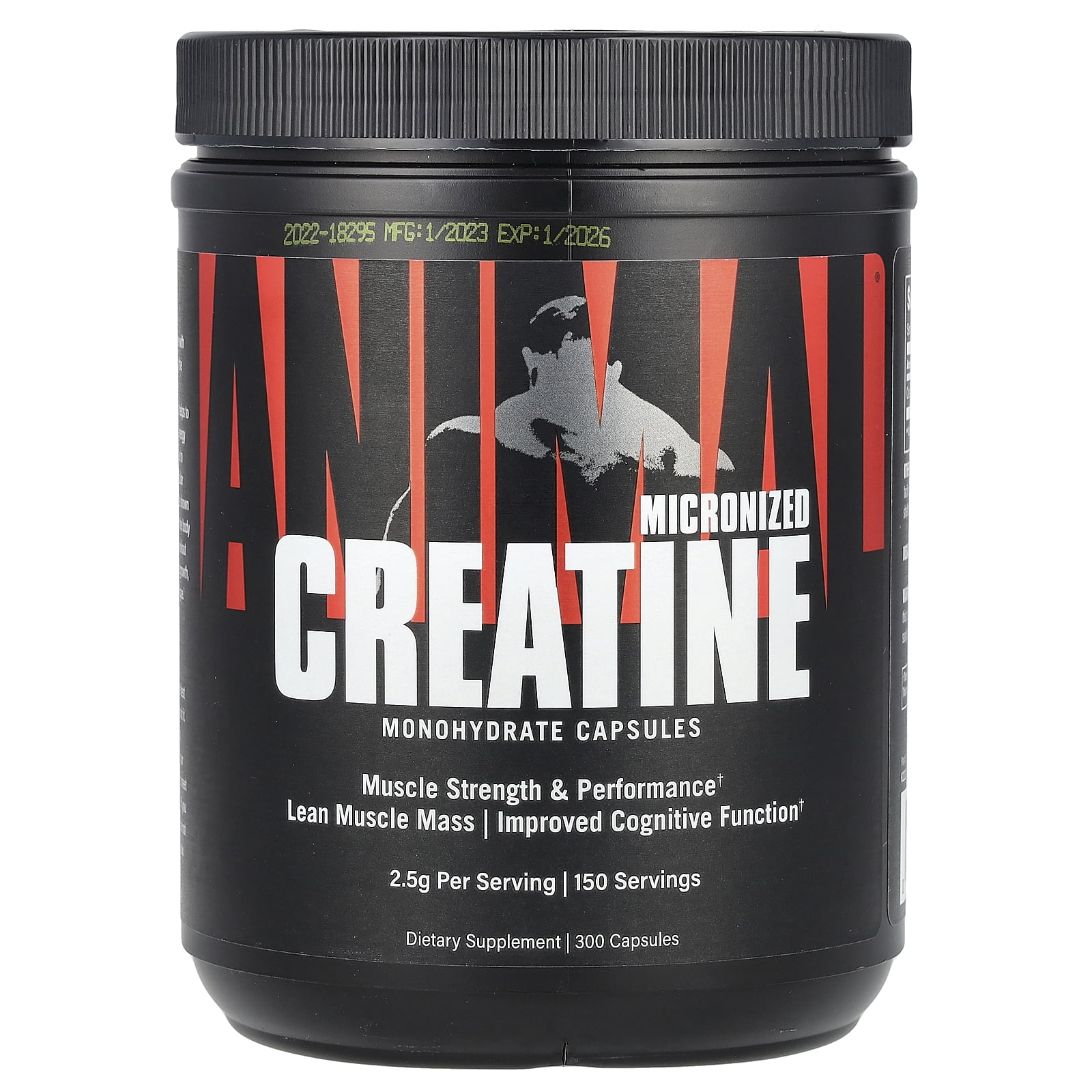 Animal Building Gym Nutrition Creatine Monohydrate Supplement - Boost ...