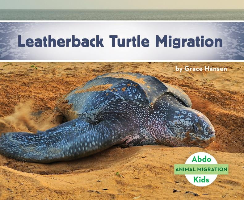 Animal Migration Set 1 Leatherback Turtle Migration, (Hardcover ...