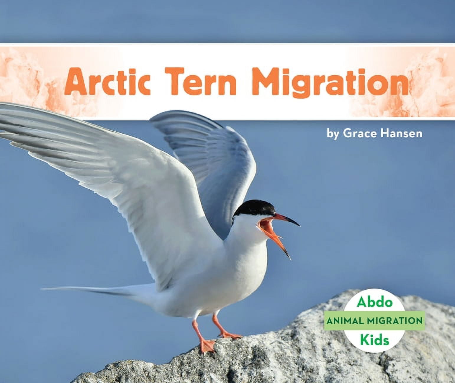 Animal Migration Set 2 Arctic Tern Migration, (Hardcover) - Walmart.com