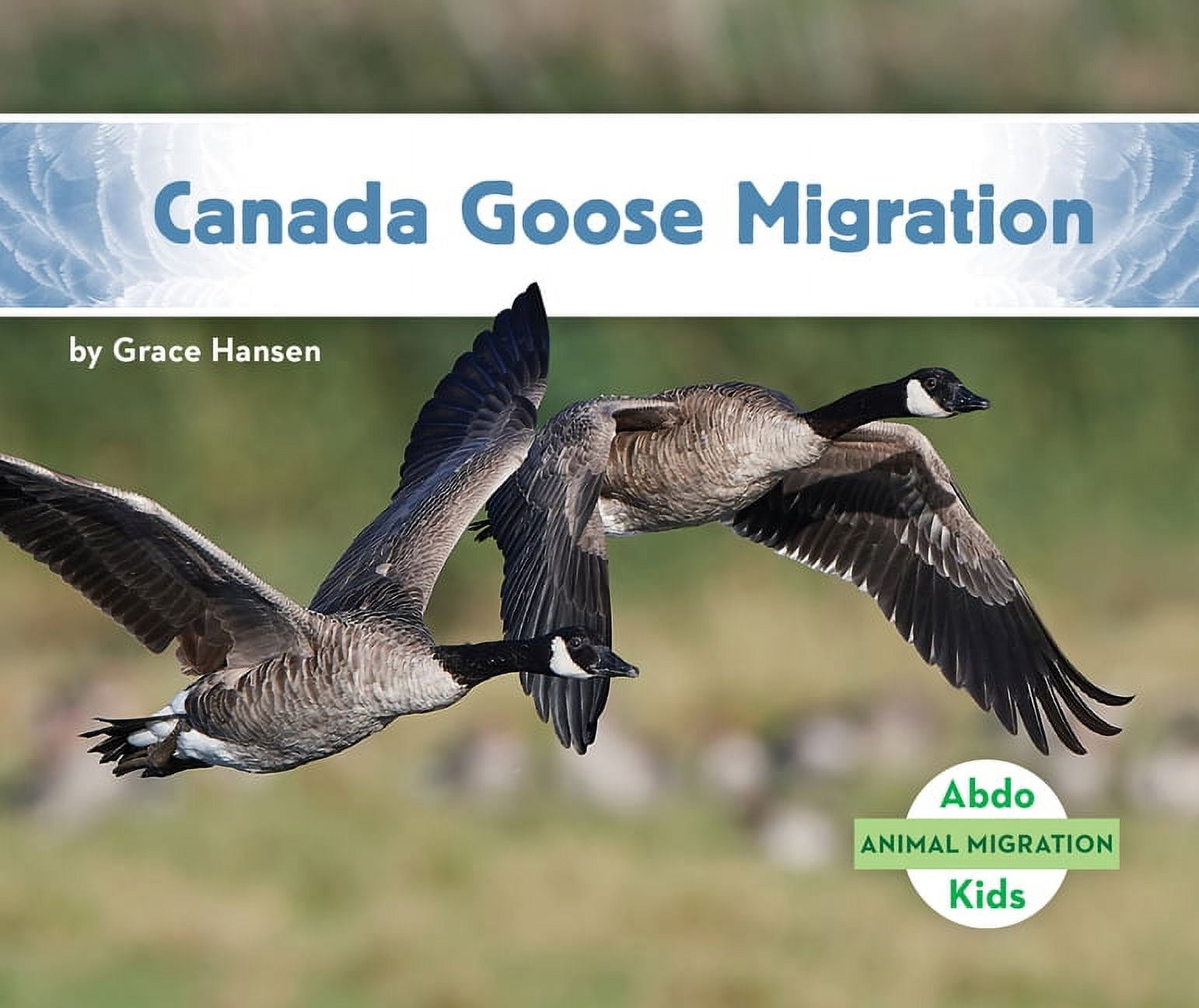 Goose Migration