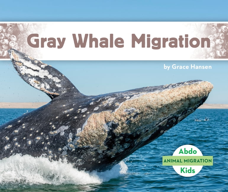 Animal Migration Set 2 Gray Whale Migration, (Hardcover) - Walmart.com