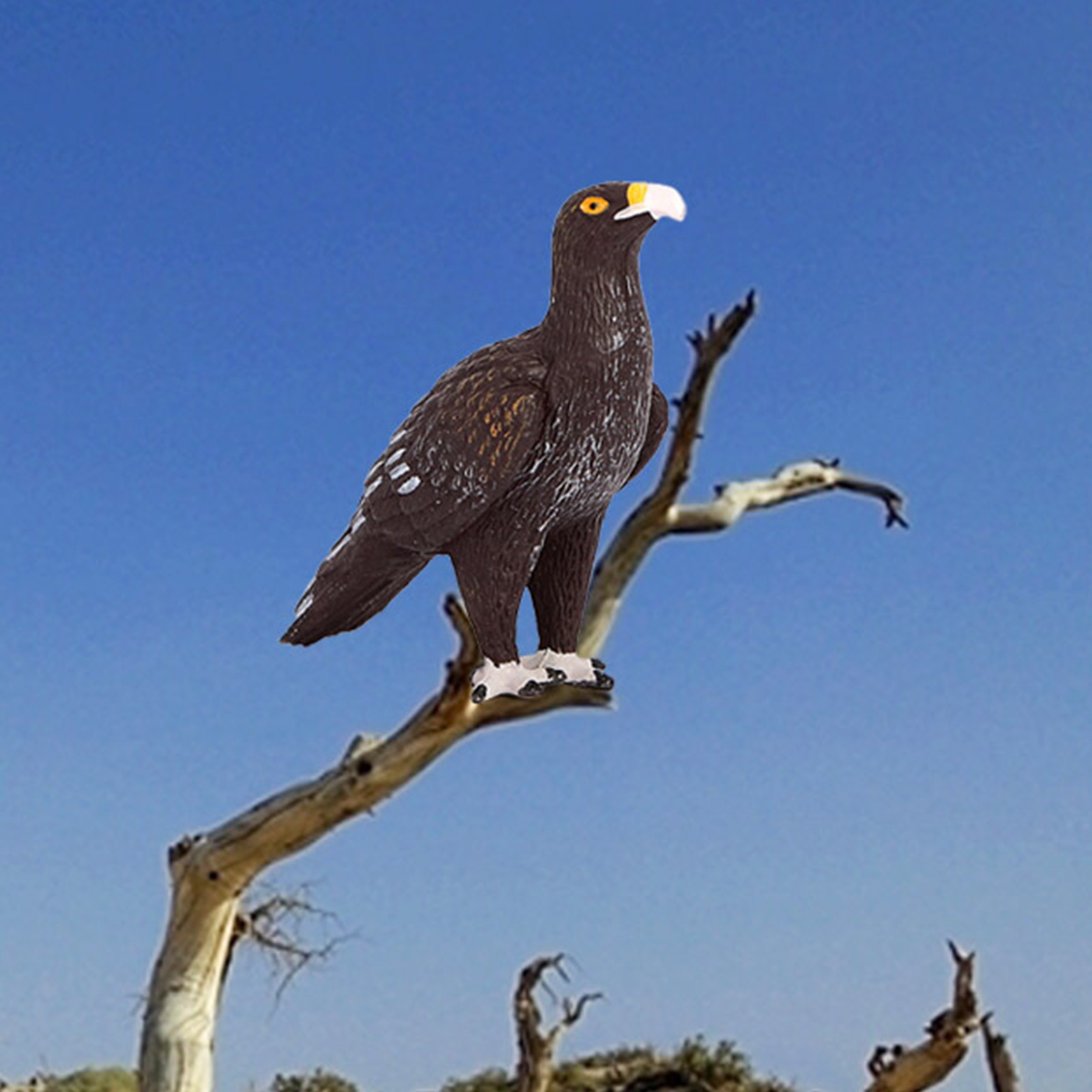 Animal Model - Anti-break Drop-resistant Fade-less Restored Stable ...