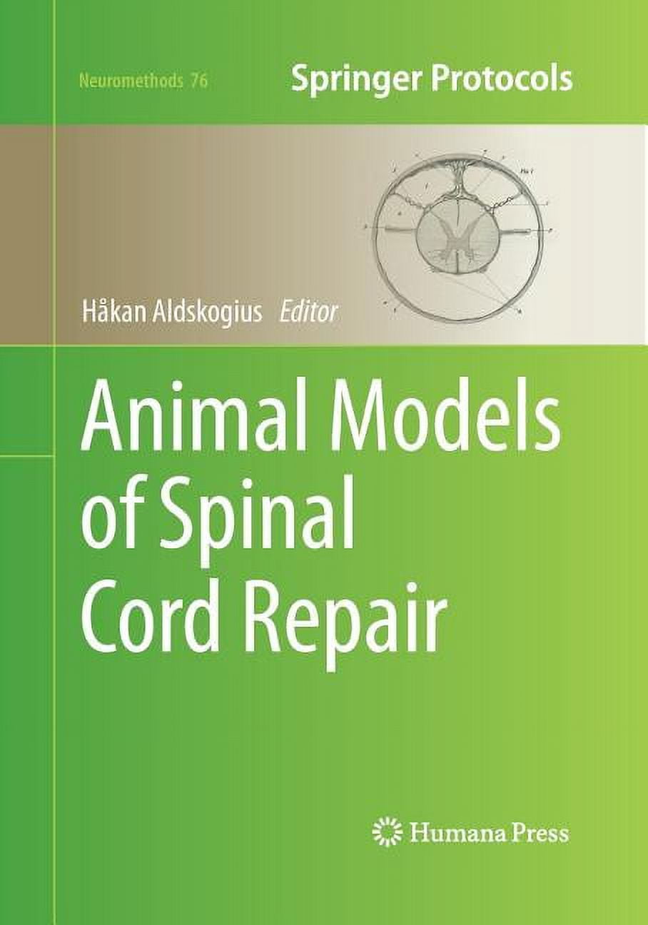 Spinal Cord Model