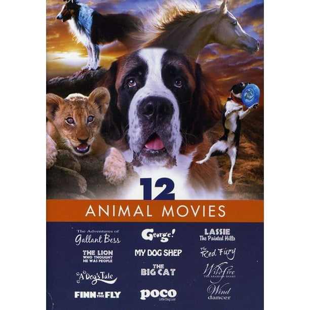 Animal Movies: Family Film (DVD) - Walmart.com