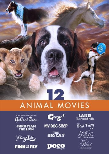Animal Movies: Family Film (DVD) - Walmart.com