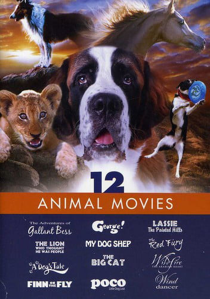 Animal Movies: Family Film (DVD) - Walmart.com