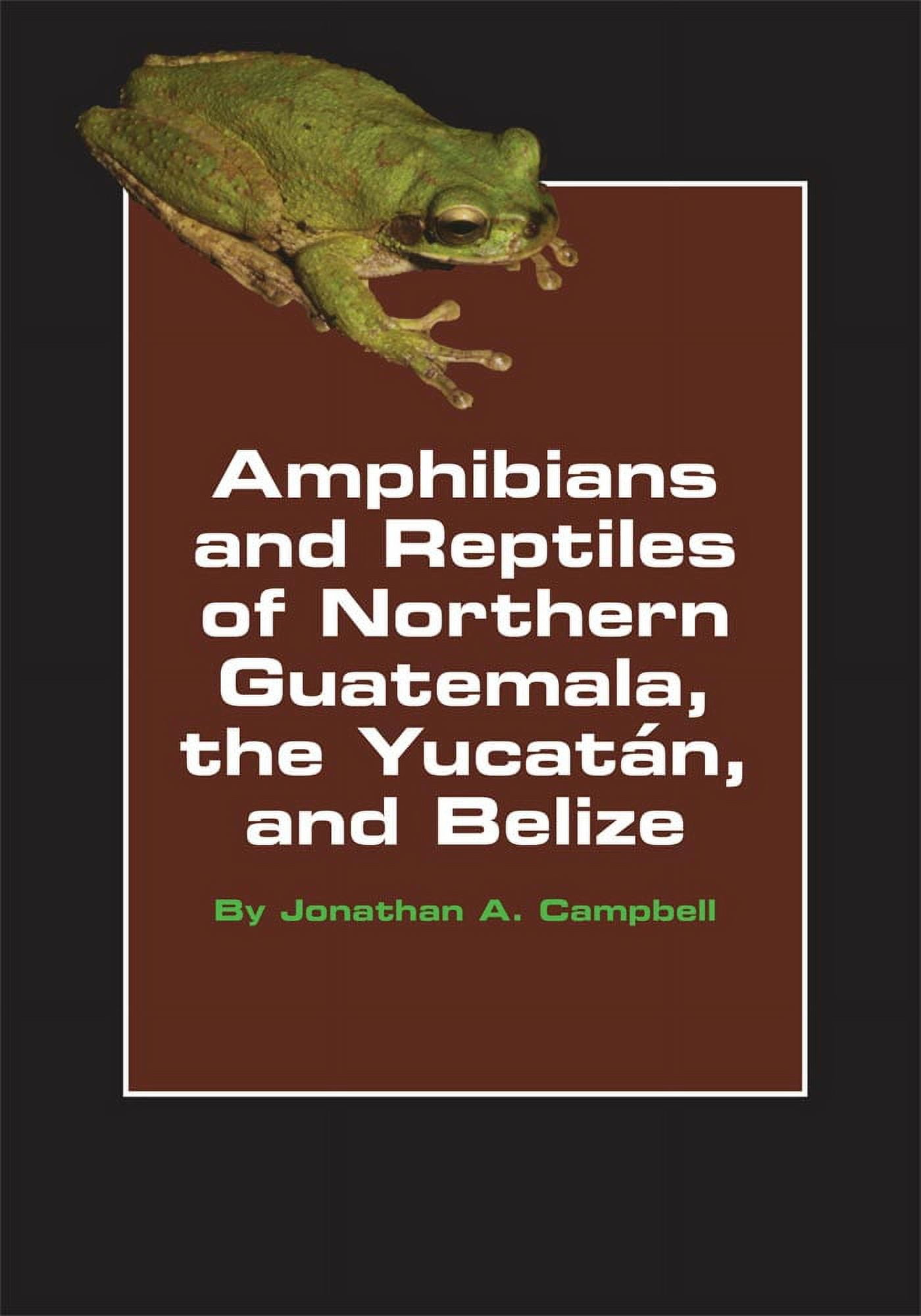 Animal Natural History Series: Amphibians and Reptiles of Northern ...