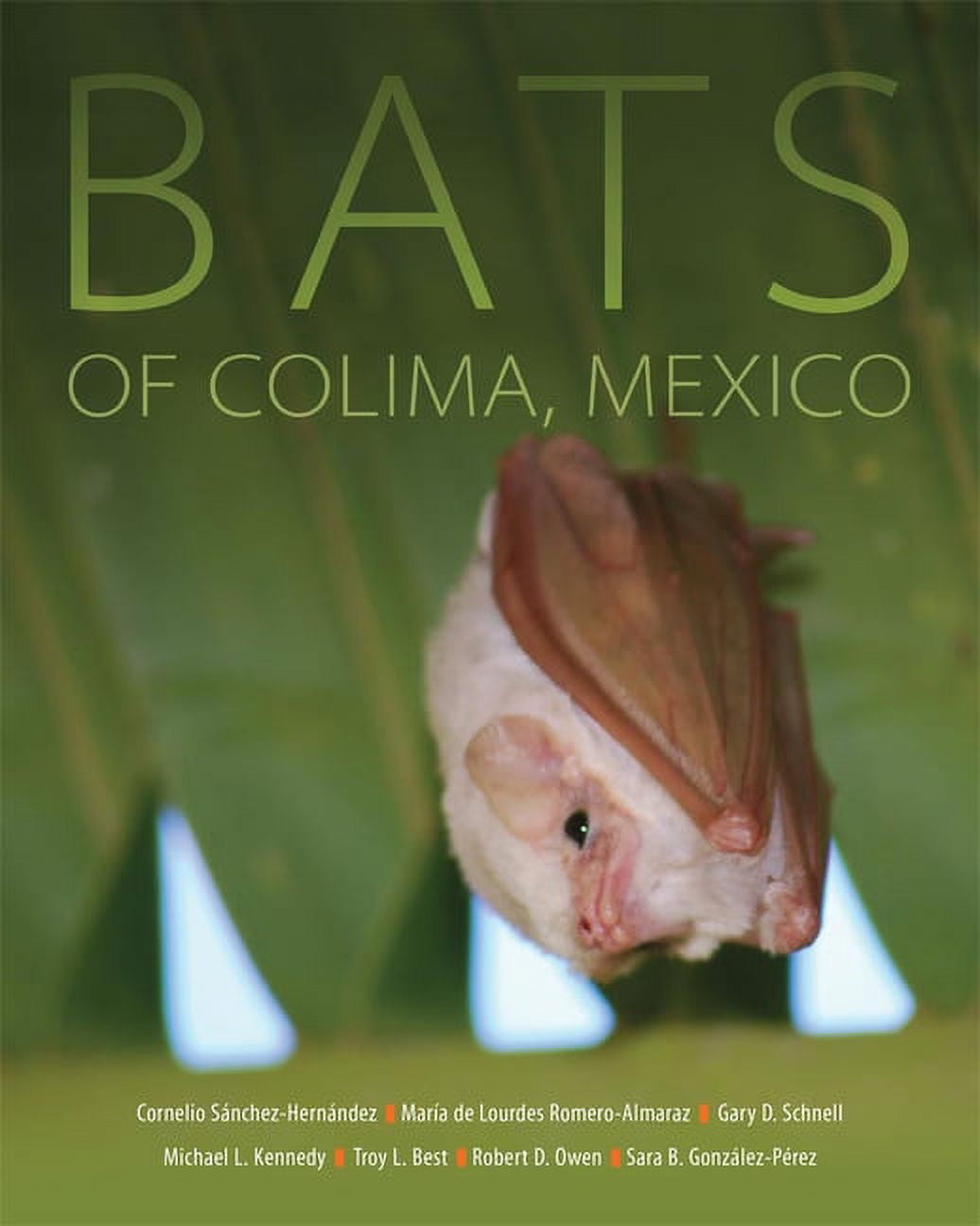 Colima Mexico