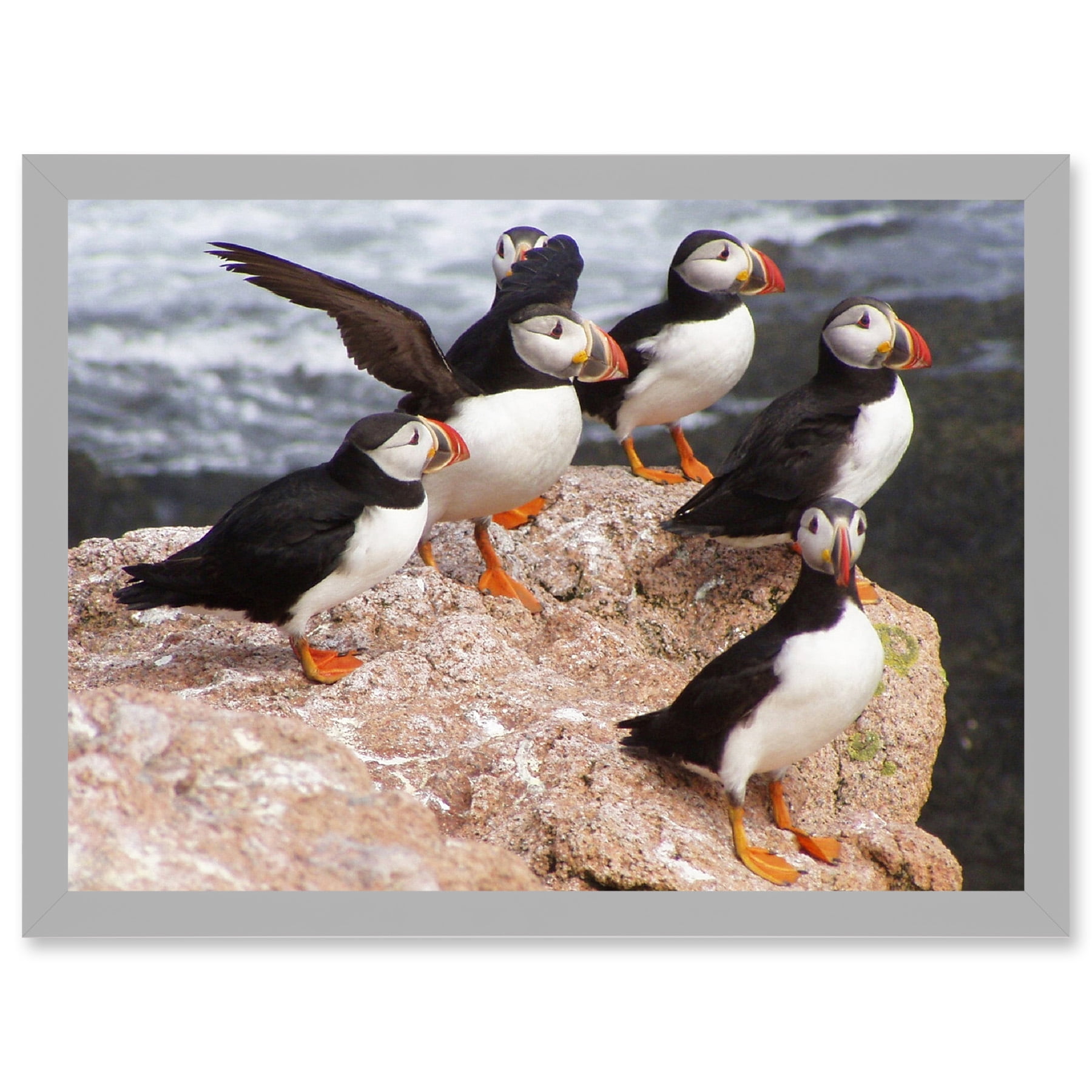Animal North Atlantic Puffins Birds Beach Edge of Ocean Rock Artwork ...