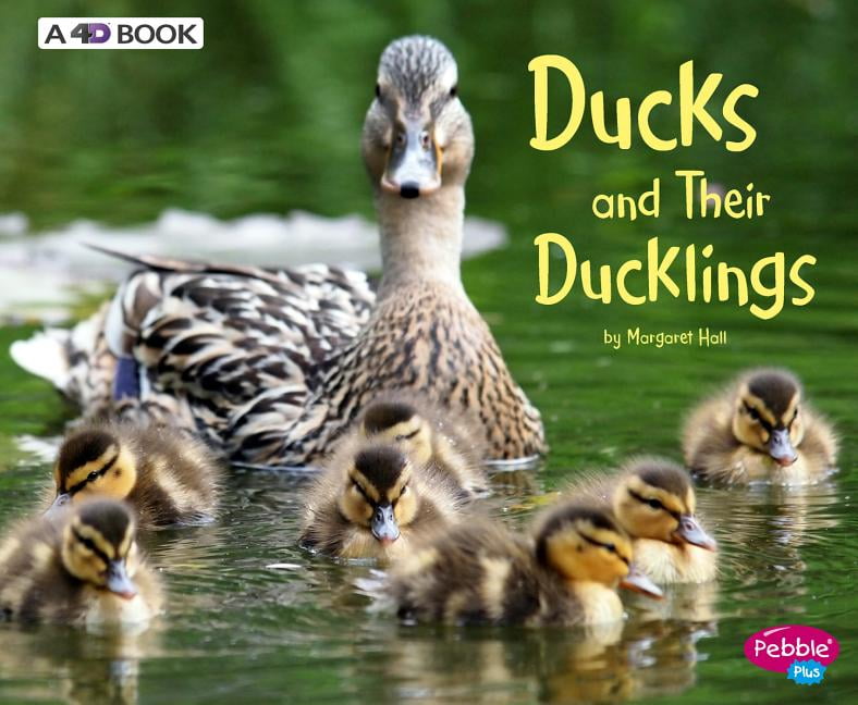 Animal Offspring: Ducks and Their Ducklings : A 4D Book (Hardcover ...