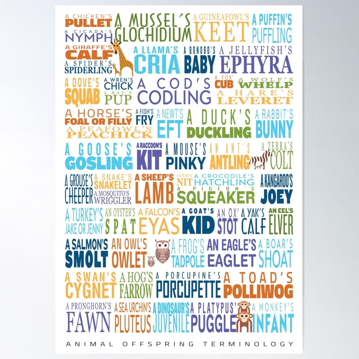 Animal Offspring Terminology - Animal Baby Names - Funky Font Edition ...