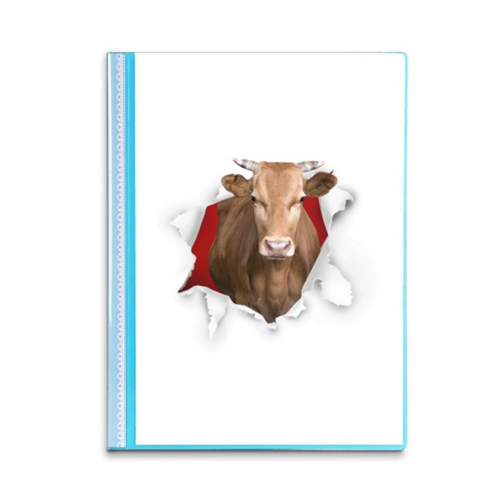 Animal Paper Break Shocks Bulls Book Sheet Protectors Portfolio Binder ...