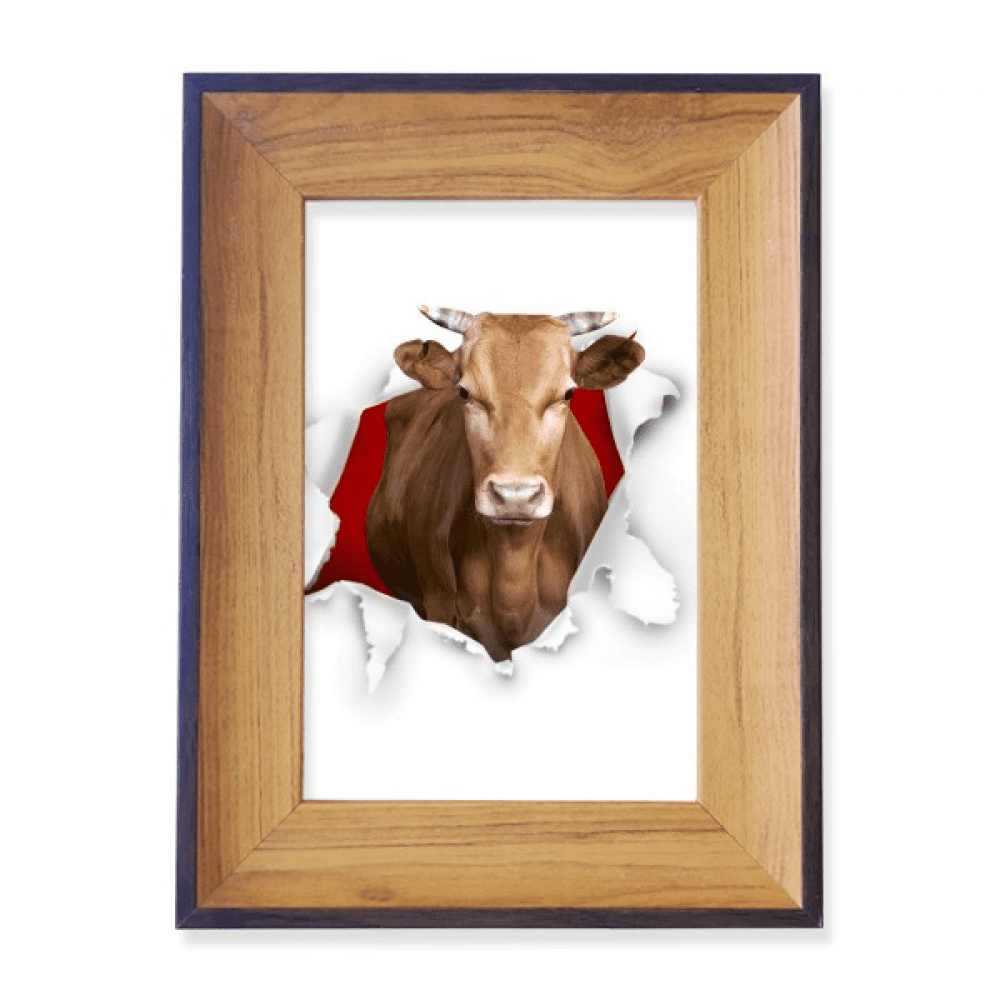 Animal Paper Break Shocks Bulls Photo Frame Exhibition Display Art ...