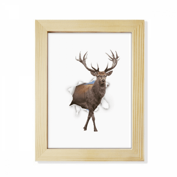 Animal Paper Break Shocks Desktop Adorn Photo Frame Display Art ...