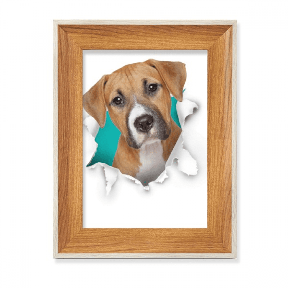 Animal Paper Break Shocks Dogs Desktop Wooden Photo Frame Display ...