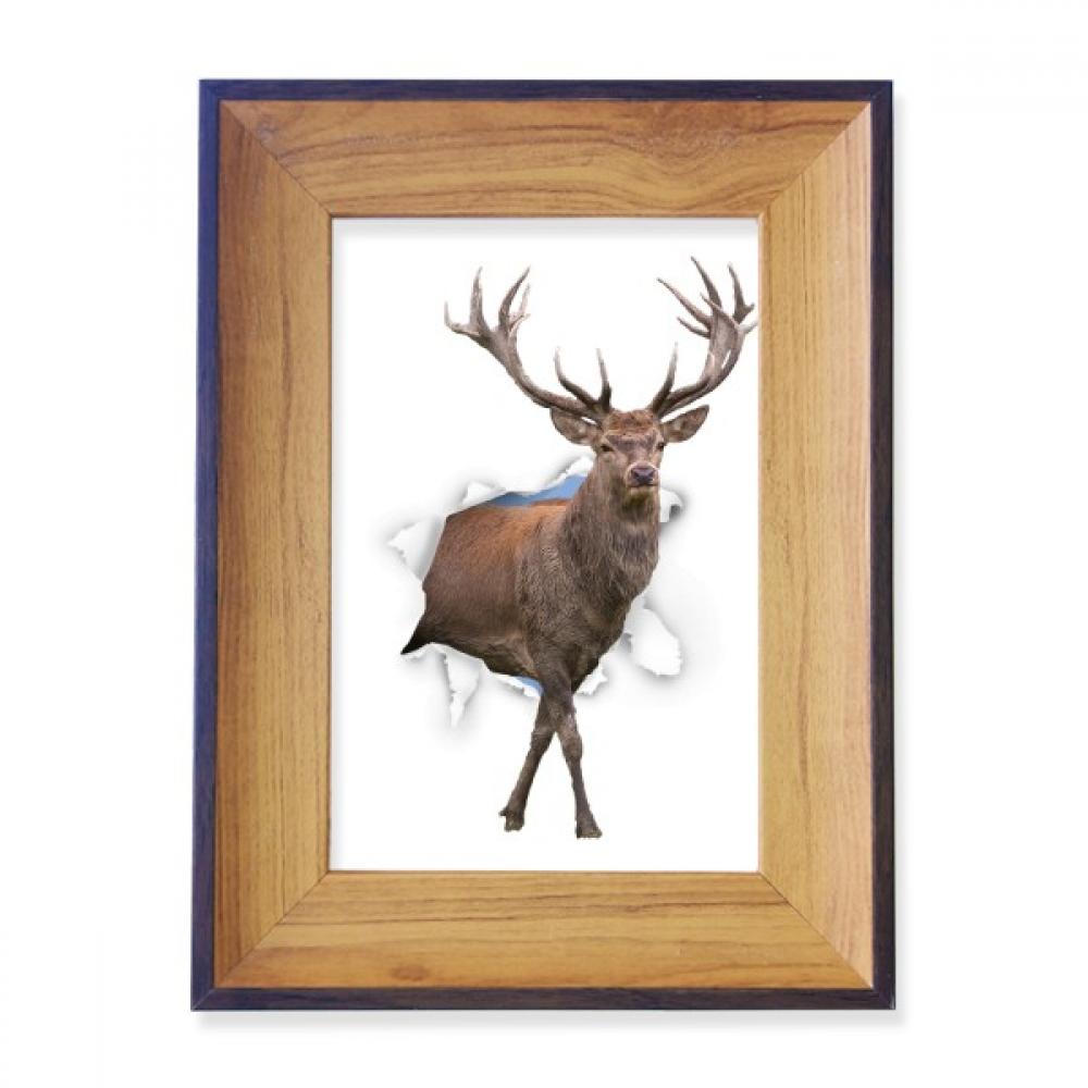 Animal Paper Break Shocks Photo Frame Exhibition Display Art Desktop ...