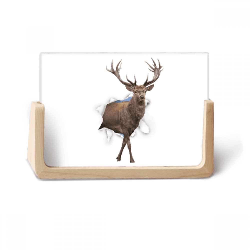Animal Paper Break Shocks Photo Wooden Photo Frame Tabletop Display ...