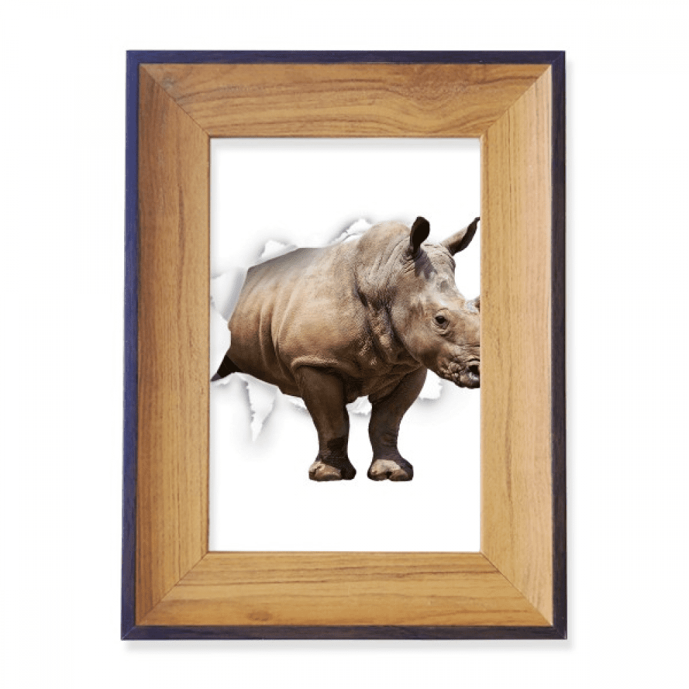Animal Paper Break Shocks Rhinoceros Photo Frame Exhibition Display Art ...