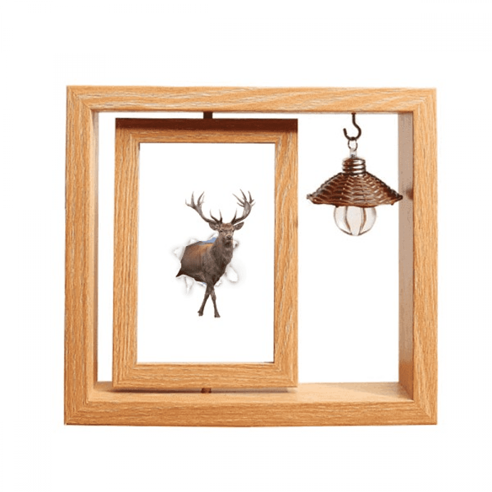 Animal Paper Break Shocks Wooden Rotating Picture Photo Frame 4x6 ...