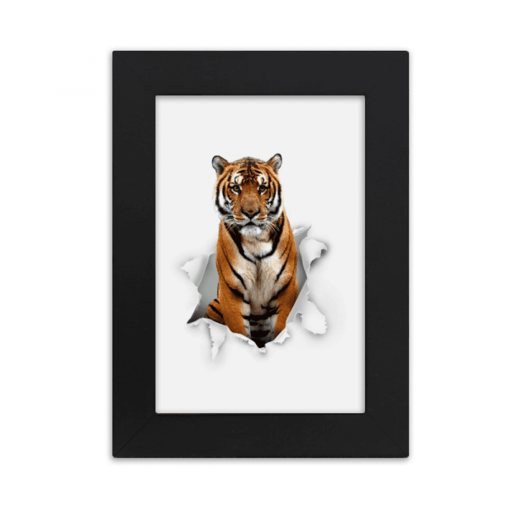 Animal Paper Breaks Shock Tigers Desktop Photo Frame Picture Display ...