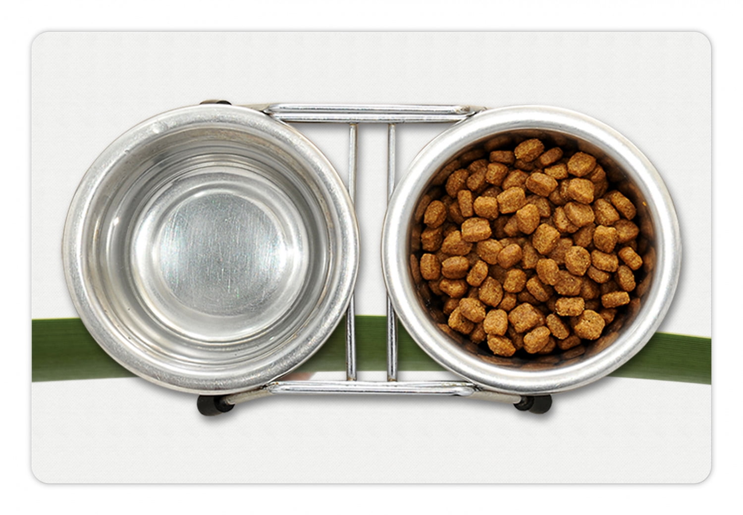 Animal Pet Mat for Food and Water, Red Eyed Tree Frog Perches on a Long ...