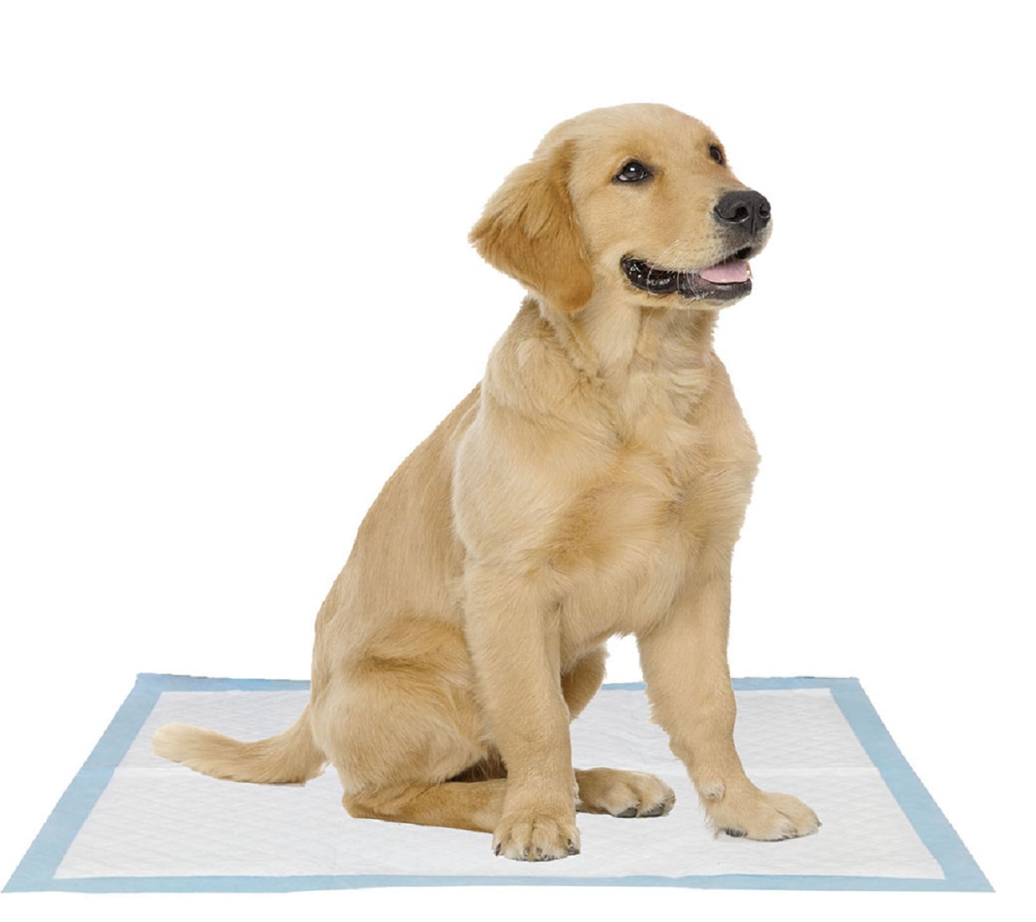 Animal Planet Puppy Pad-Dog Housebreaking ( 150 Count ) Potty Training ...