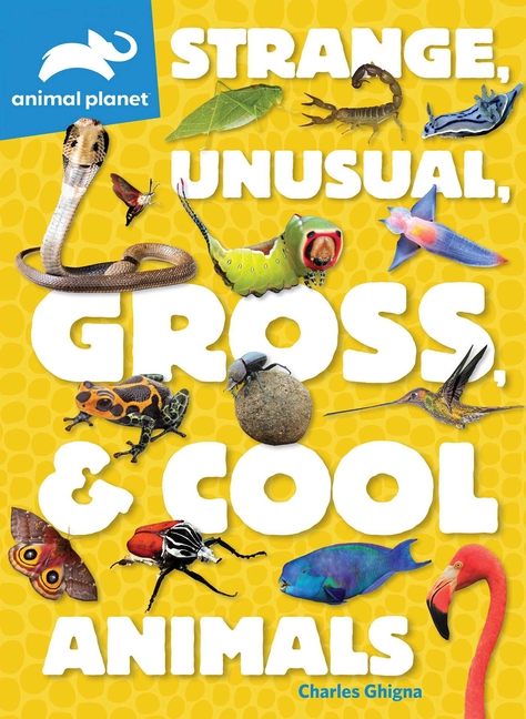 Invisible Lizard (Hardcover) - Walmart.com