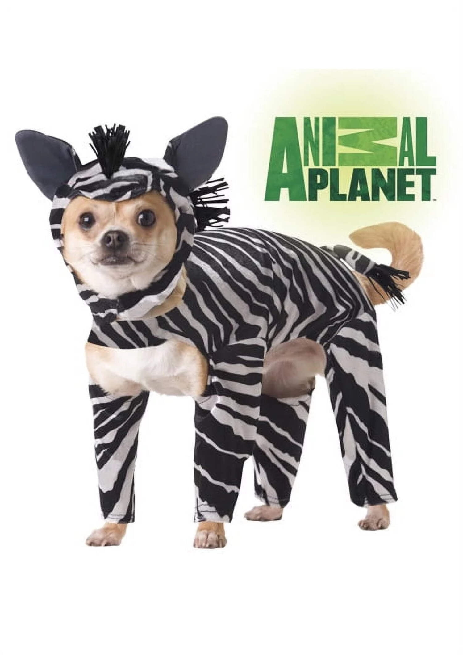 Animal Planet Zebra Dog Costume - Walmart.com