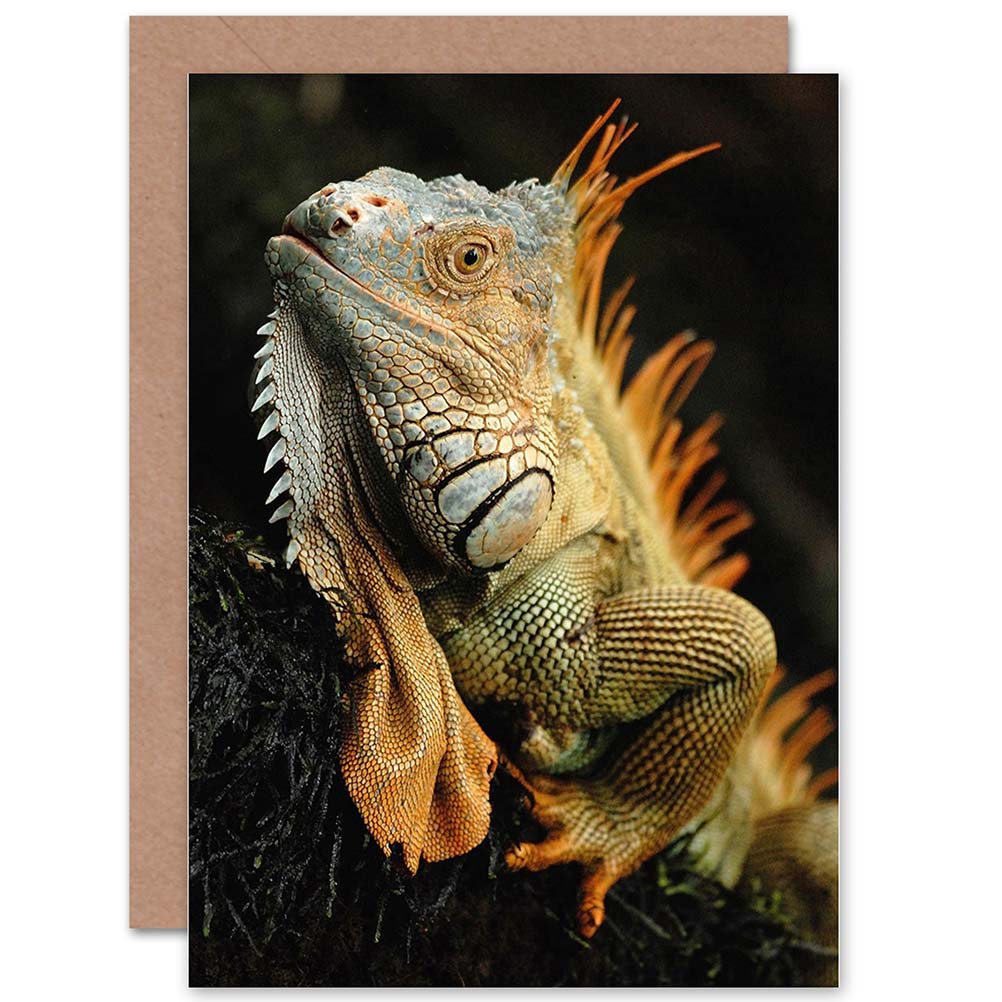 Animal Portrait Iguana Lizard Reptile Greetings Card Plus Envelope ...