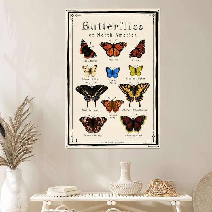 Animal Poster Butterflies of North America Poster – Butterfly Chart ...