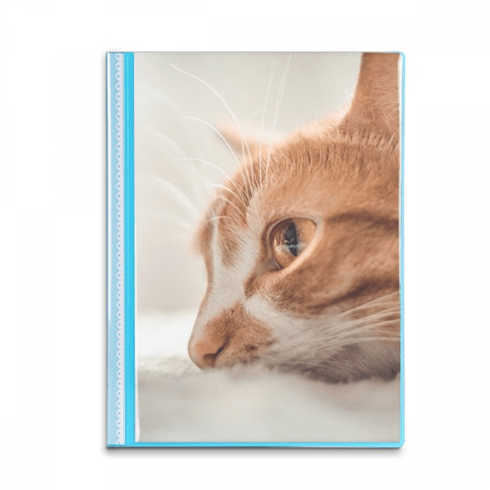 Animal Pure Cat Photograph Picture Book Sheet Protectors Portfolio ...