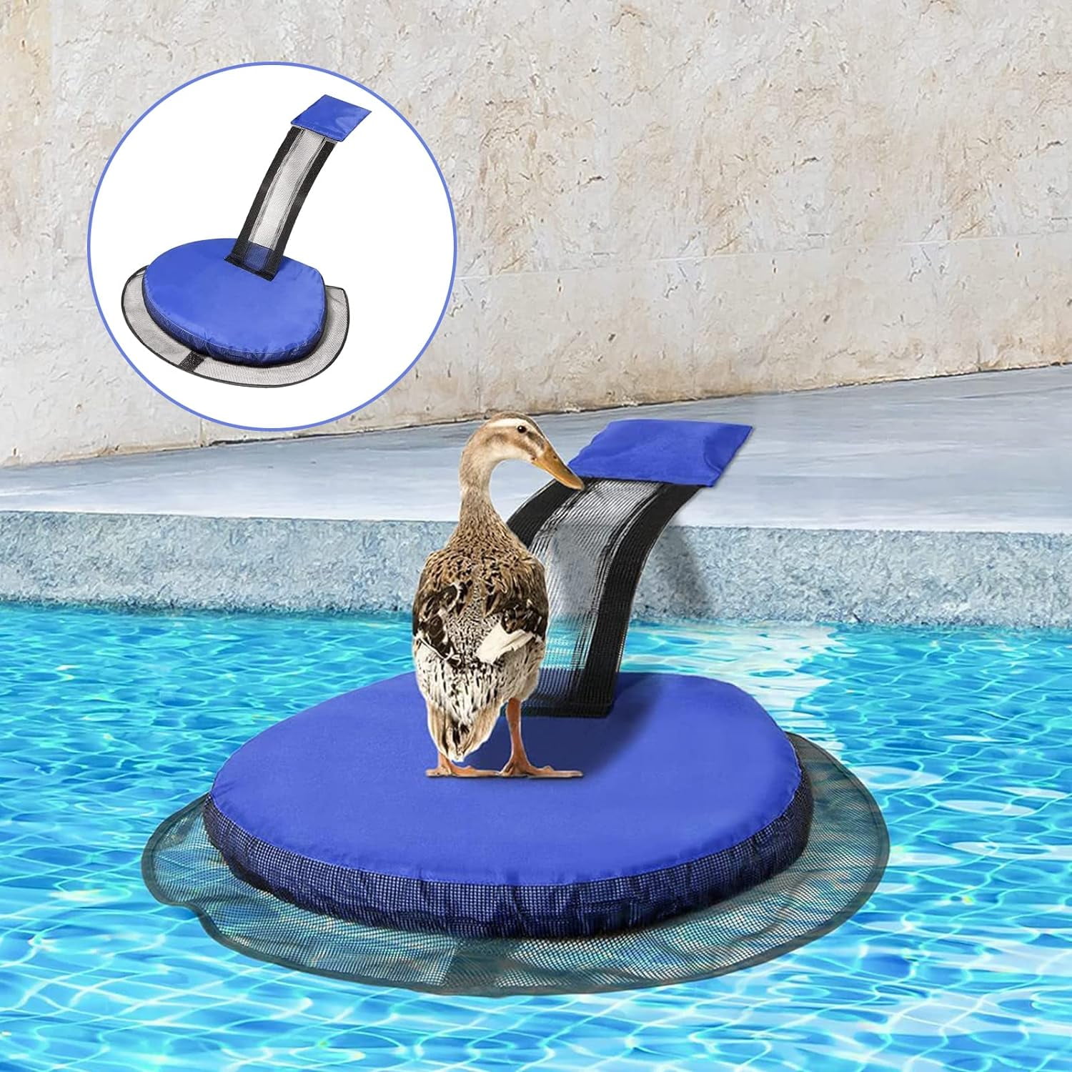 AWINQQY Animal Rescue Ramps for Swimming Pool, One Piece - Walmart.com