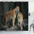 Animal Shower Curtain Tiger Couple in Jungle Print for Bathroom ...