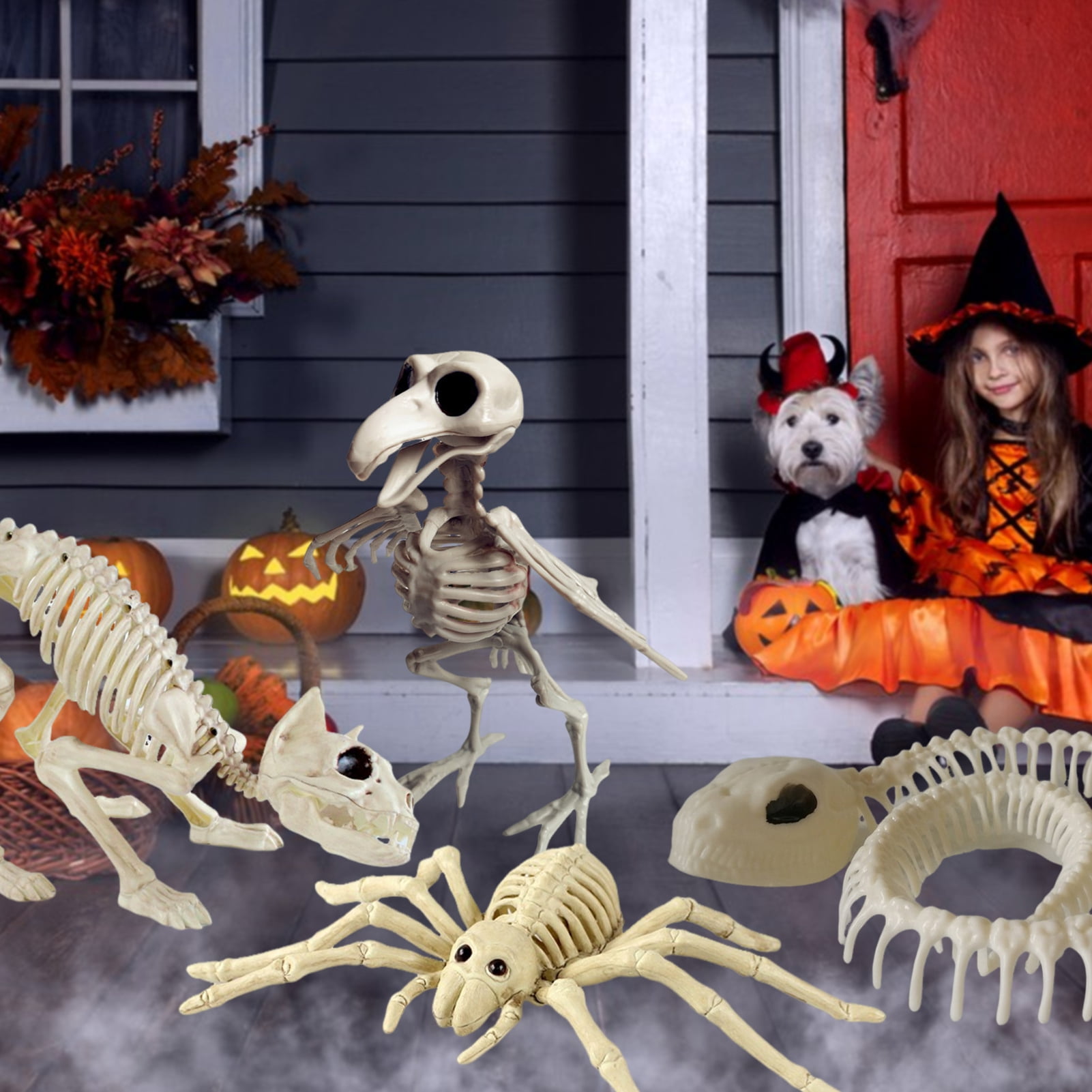 Animal Skeleton Model Halloween Decoration Crow Spider Lizard Cat Skull ...