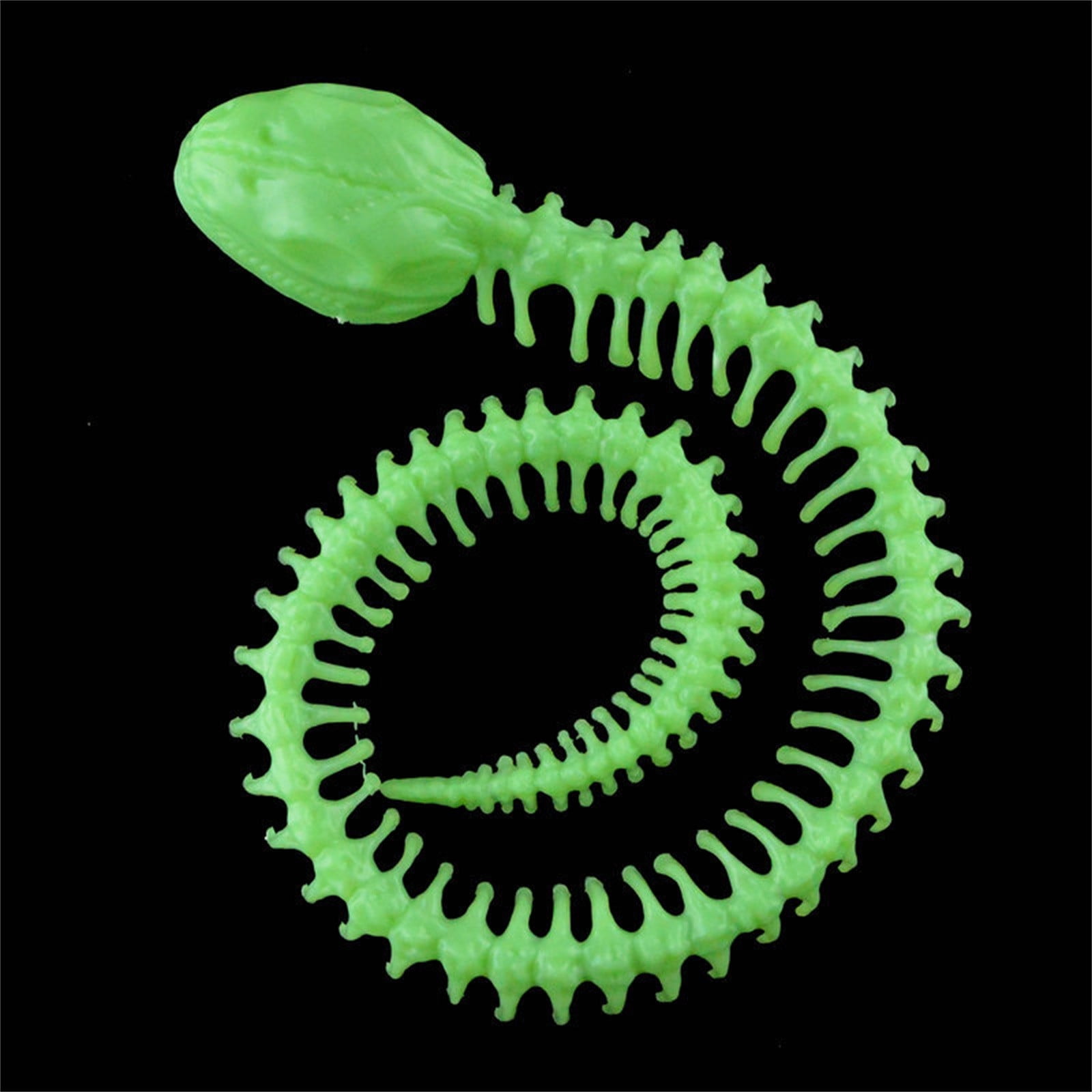 Animal Skeleton Props Skeleton Gecko Snake Decorations Decor Party ...