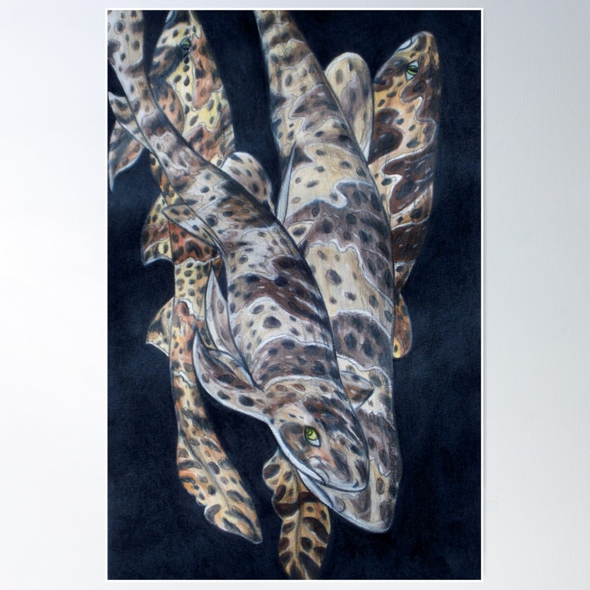 Animal Skins: Swell Shark Poster Wall Art, Modern Wall Decor For Living ...