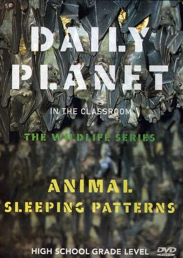 Animal Sleeping Patterns (DVD), Cerebellum Generic, Special Interests - Walmart.com