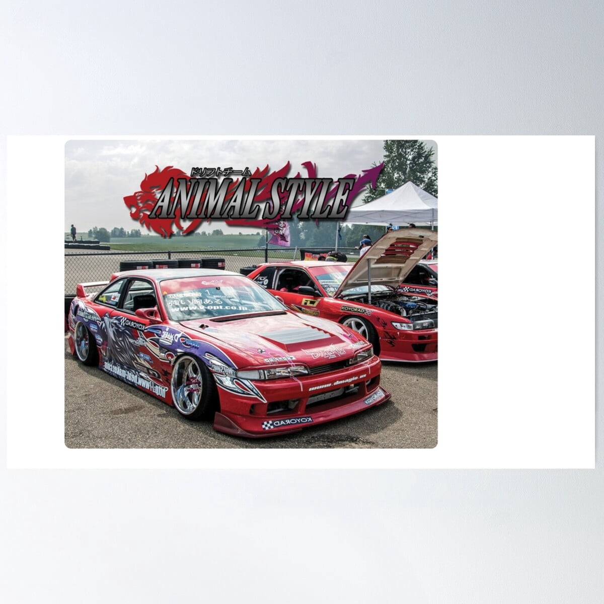 Animal Style Drift Team Poster Wall Art Modern Wall Decor For Living ...