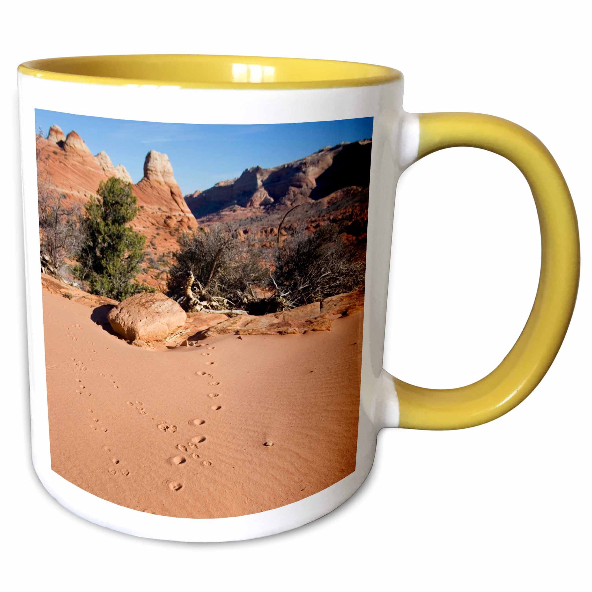 3drose, Animal Tracks, Coyote Buttes, Arizona and Utah - Us03 Jgs0000 ...