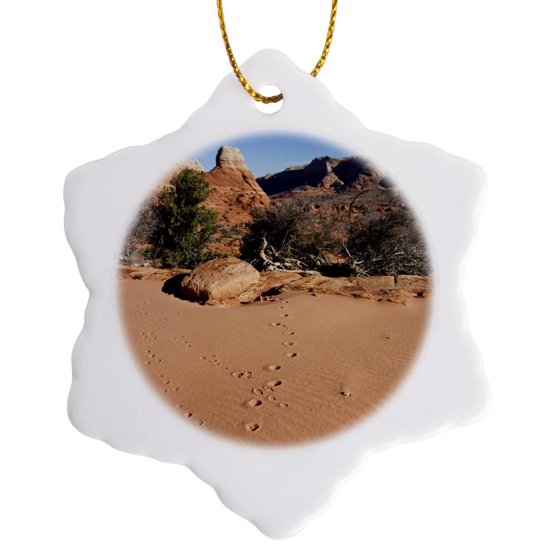 3drose, Animal Tracks, Coyote Buttes, Arizona and Utah - Us03 Jgs0000 ...