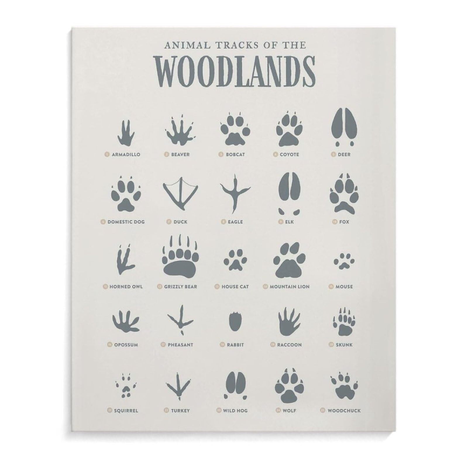 Animal Tracks Field Guide Knowledge Poster (4) Bedroom Office Printed ...