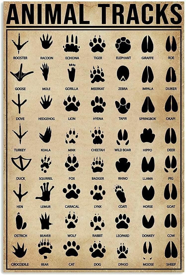 Animal Tracks Field Guide Metal Aluminium Sign Vintage Animal Tracks ...