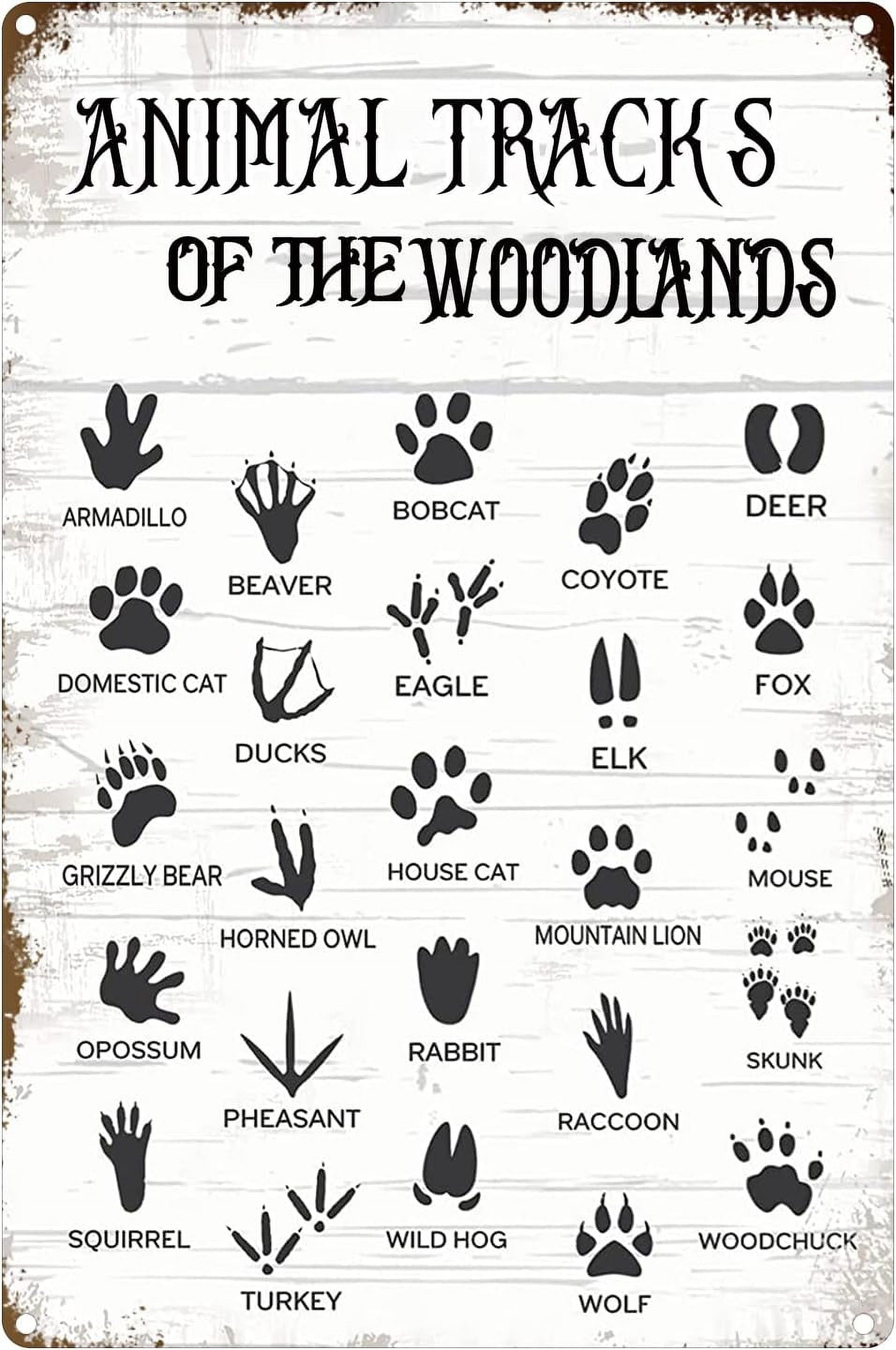 Animal Tracks Field Guide Metal Tin Sign Animal Tracks Wall Decor ...